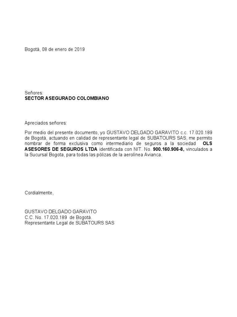 MODELO Carta de Nombramiento GENERAL | PDF