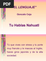 Indigenismos en el Español Mexicano | PDF | Chocolate | Náhuatl