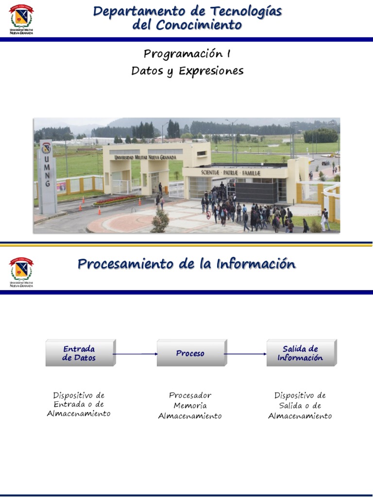 02 - Datos y Expresiones | PDF | Variable (informática) | Tipo de datos