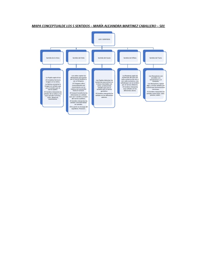 Mapa Conceptual de Los 5 Sentidos | PDF | Sentidos | Sistema nervioso