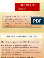 Post-Operative Care Checklist Guide | PDF