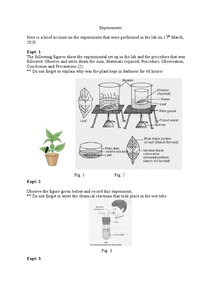 Experiments | PDF