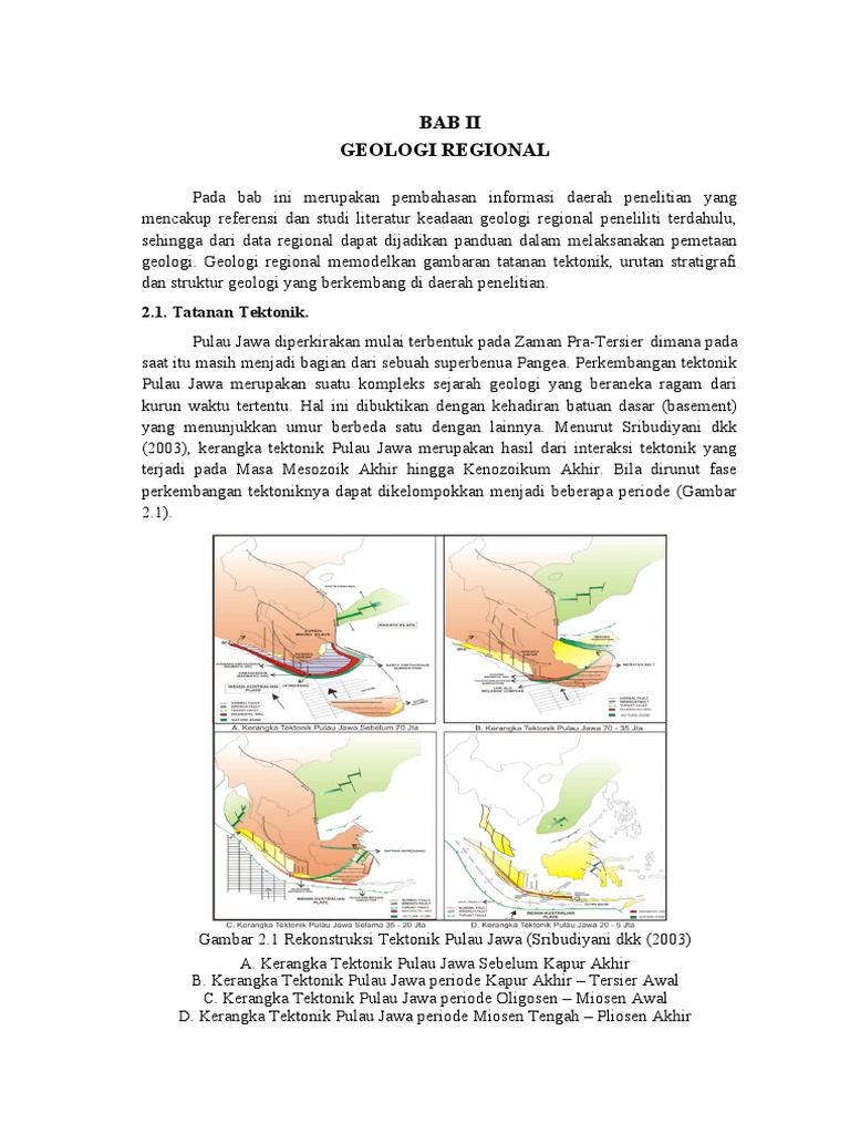 Geologi Regional Pulau Jawa | PDF