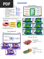 Cell Theory: Lesson 1.1 | PDF | Cell (Biology) | Organisms