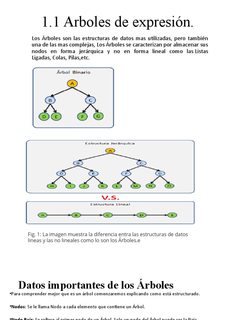 1.1-Arboles de Expresion | PDF | Informática teórica | Matemáticas ...