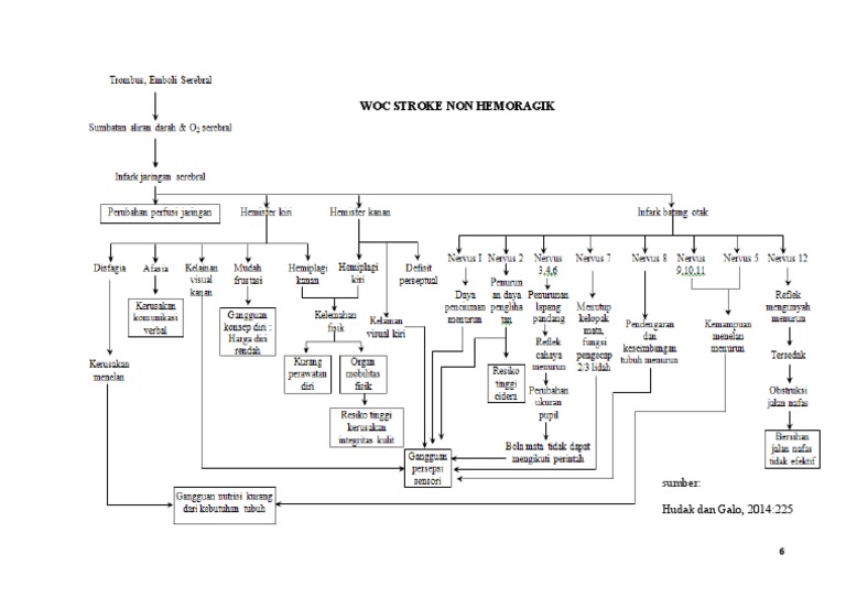 Woc Stroke Non Hemoragik: Sumber: Hudak Dan Galo, 2014:225 | PDF
