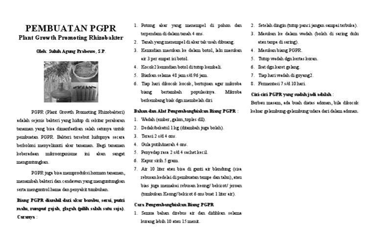 Pembuatan PGPR | PDF | Memasak, Makanan, & Anggur