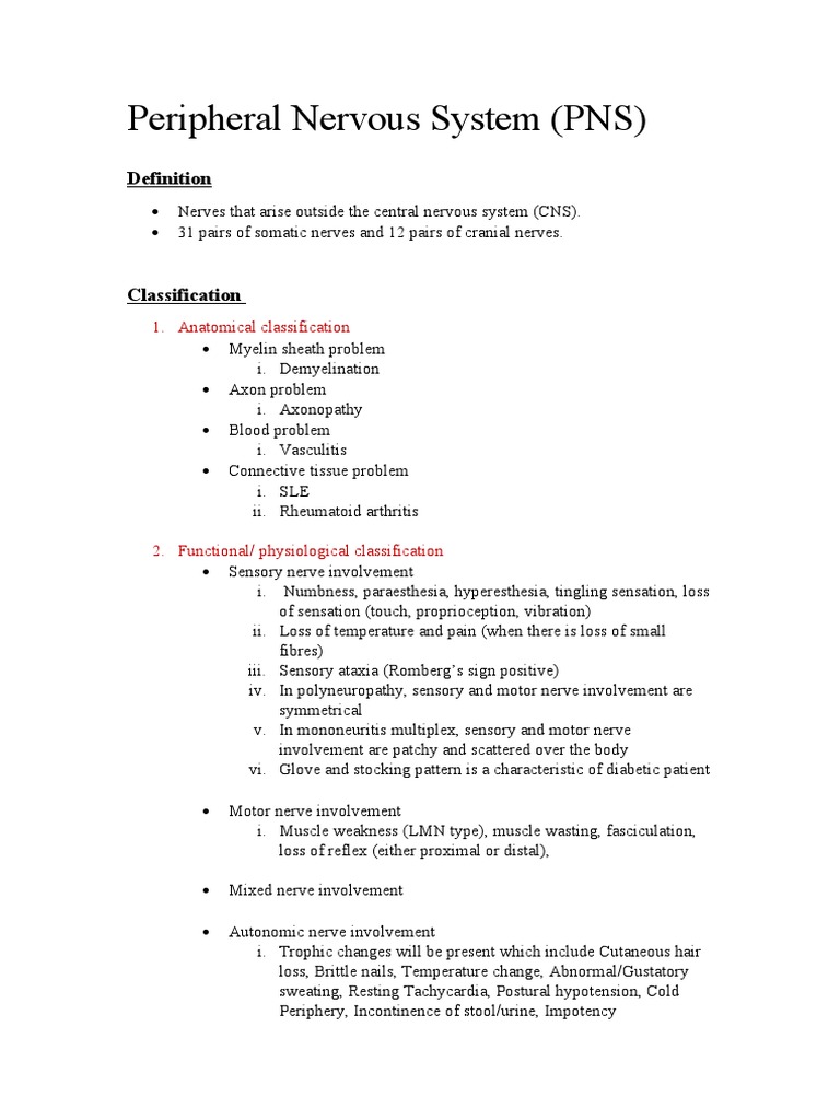 Peripheral Nervous System (PNS) : 1. Anatomical Classification | PDF ...