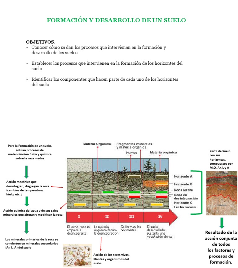 Infografía Formación Suelo | PDF