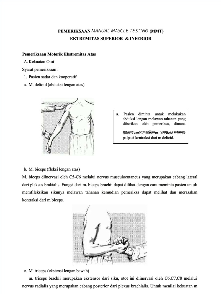 PDF Pemeriksaan Manual Mascle Testing MMT Ektremitas Superior Amp ...