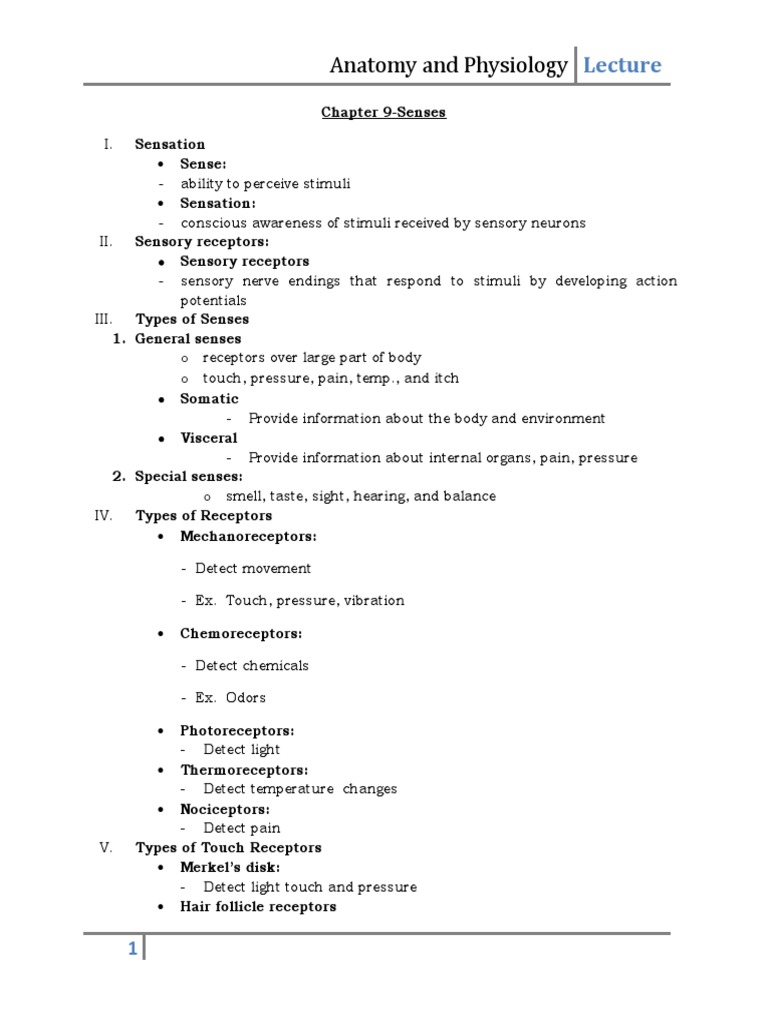 Anatomy and Physiology: Chapter 9-Senses Sensation | PDF | Retina | Ear