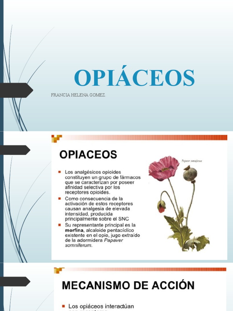 Opiáceos | PDF | Opioide | Drogas