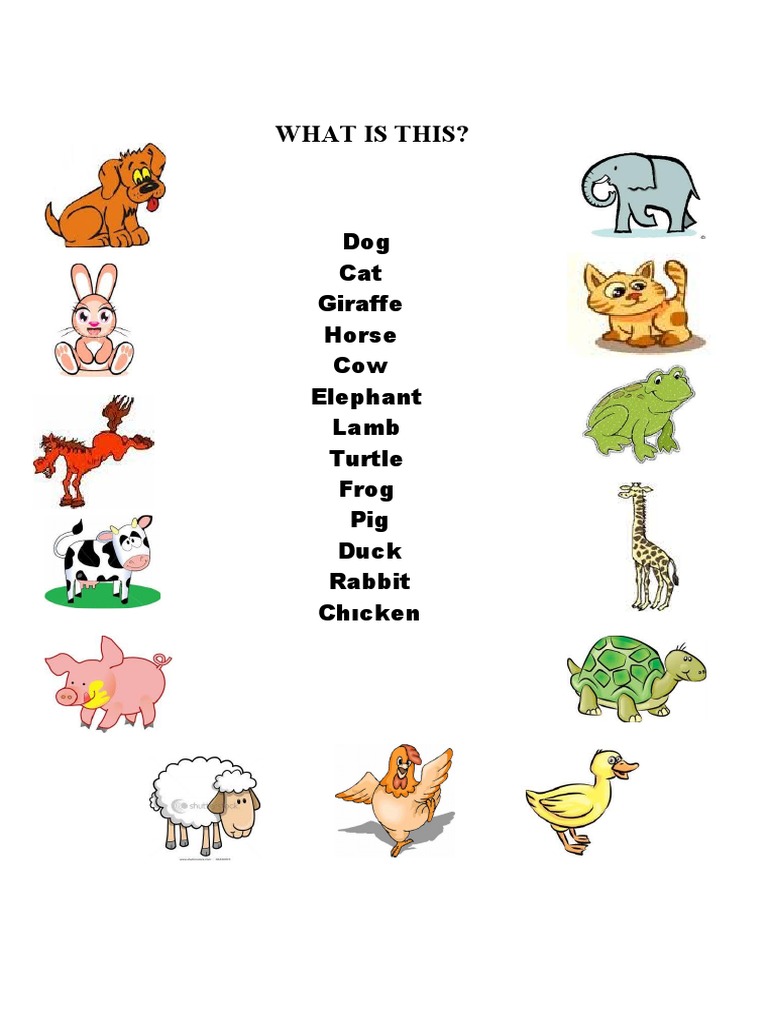 Animals | PDF