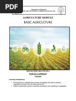 Epp - Grade 5 Complete | PDF | Curriculum | Learning