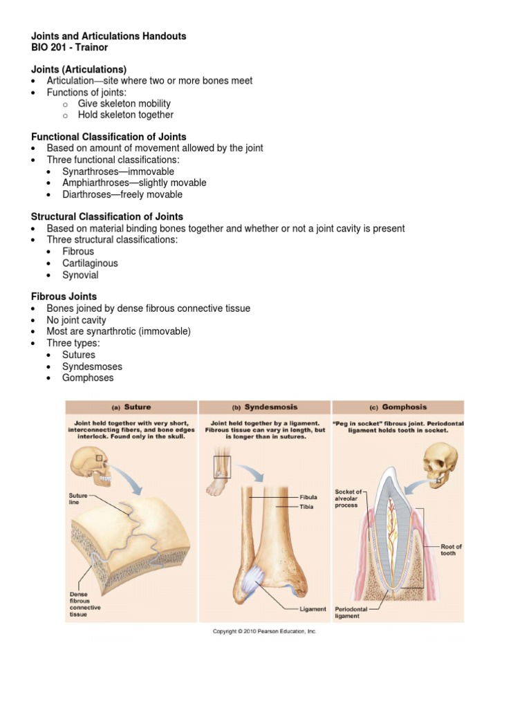 Joints and Articulations Handouts | PDF | Anatomical Terms Of Motion ...