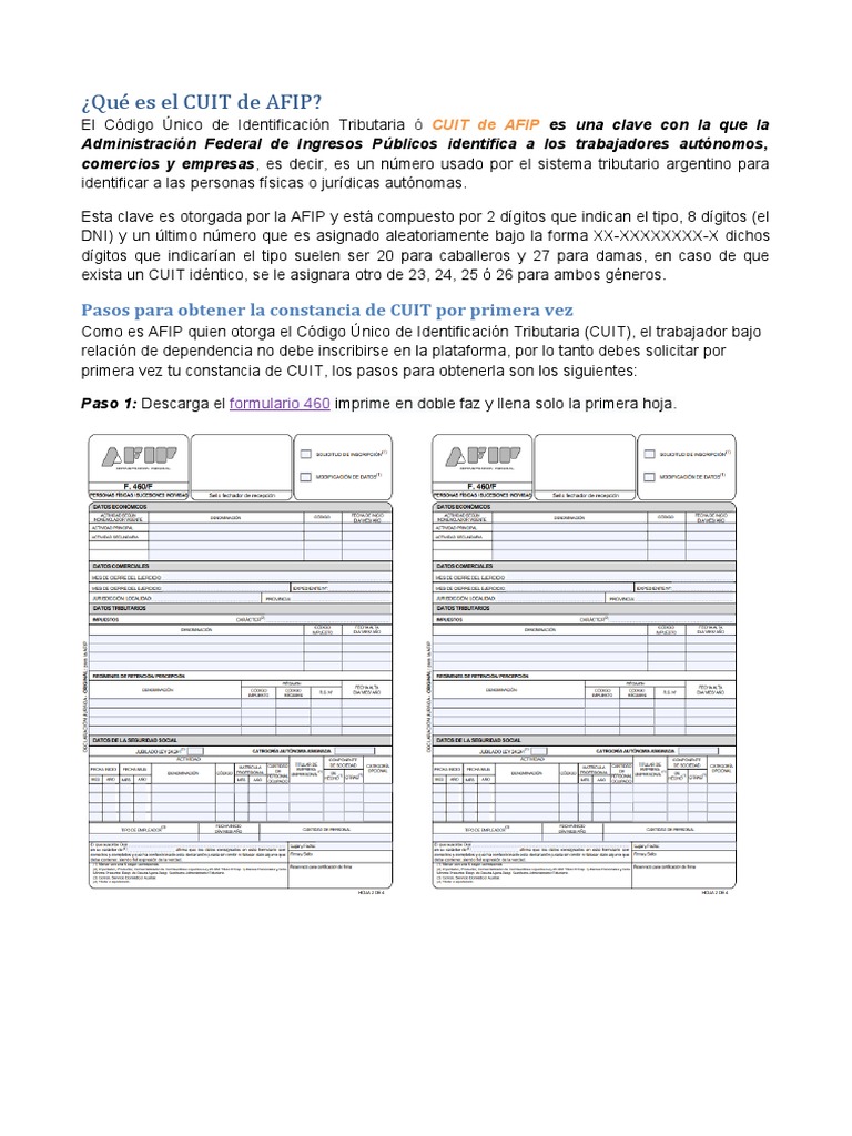 Constancia de CUIT | PDF | Informática | Seguridad