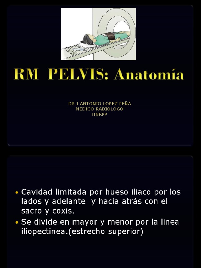 Pelvis Anatomia Descargar Gratis Pdf Pelvis Anatomia Animal