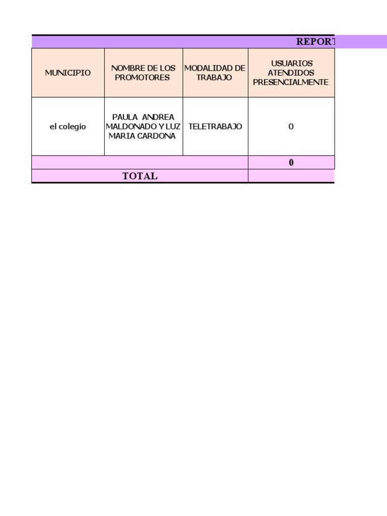 1.0-Modelo de Informe Diario | PDF