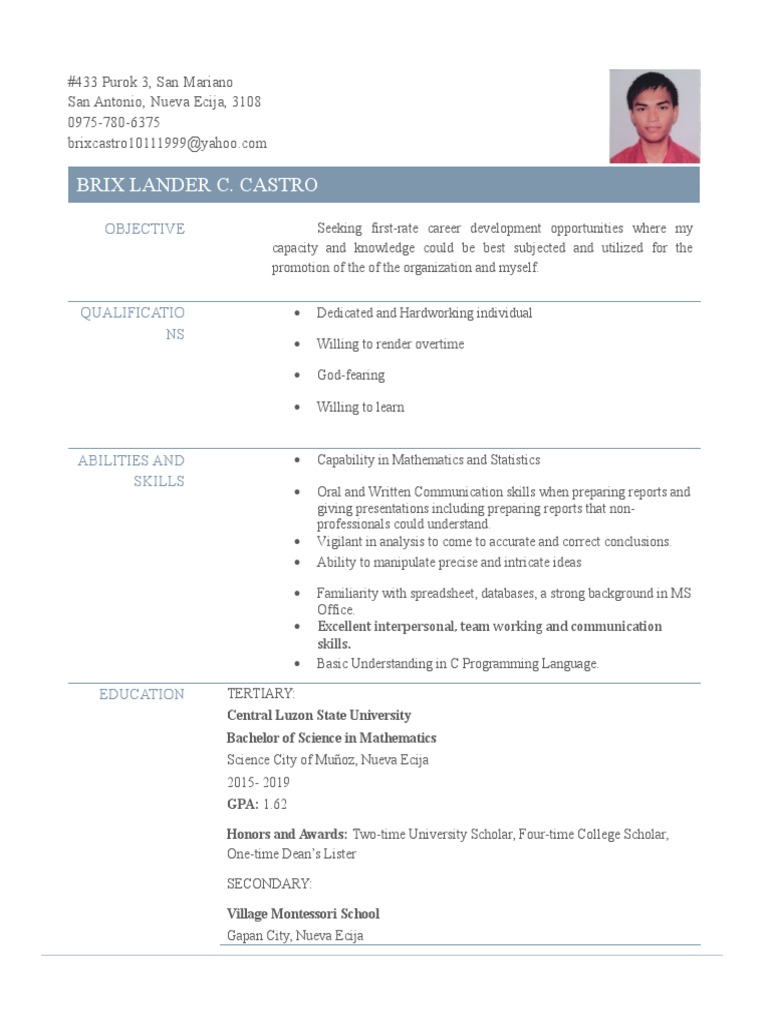 Resume Brix (Short Bondpaper) | PDF | Learning | Cognition