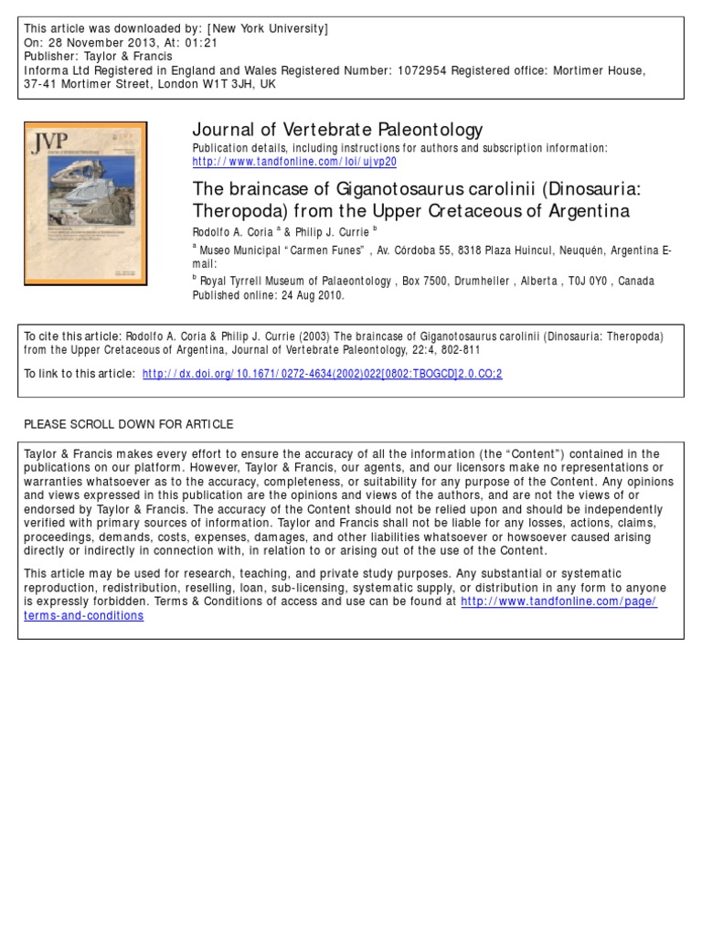 Giganotosaurus Braincase Study | PDF | Skull | Human Head And Neck