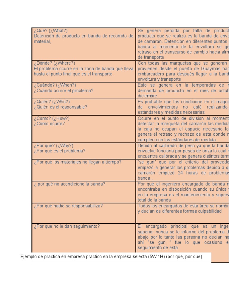 Ejemplo 5w 1h y Por Que Por Que | PDF | Business
