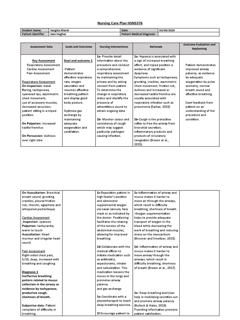 Final Osce Care Plan | PDF | Respiratory Tract | Breathing