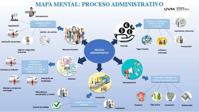 Etapas Del Proceso Administrativo Mindmeister Mapa Mental Importancia