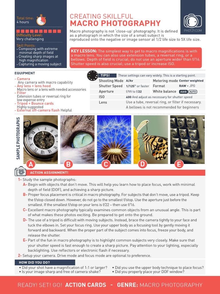 Capturing skillful macro photography | PDF | Macro Photography | Camera ...