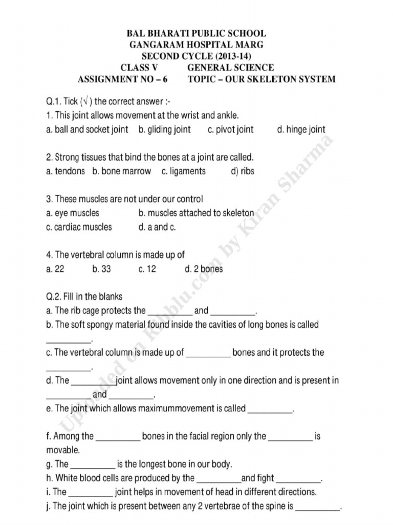 Class 5 Science Worksheets Assignments Our Skeleton System | PDF
