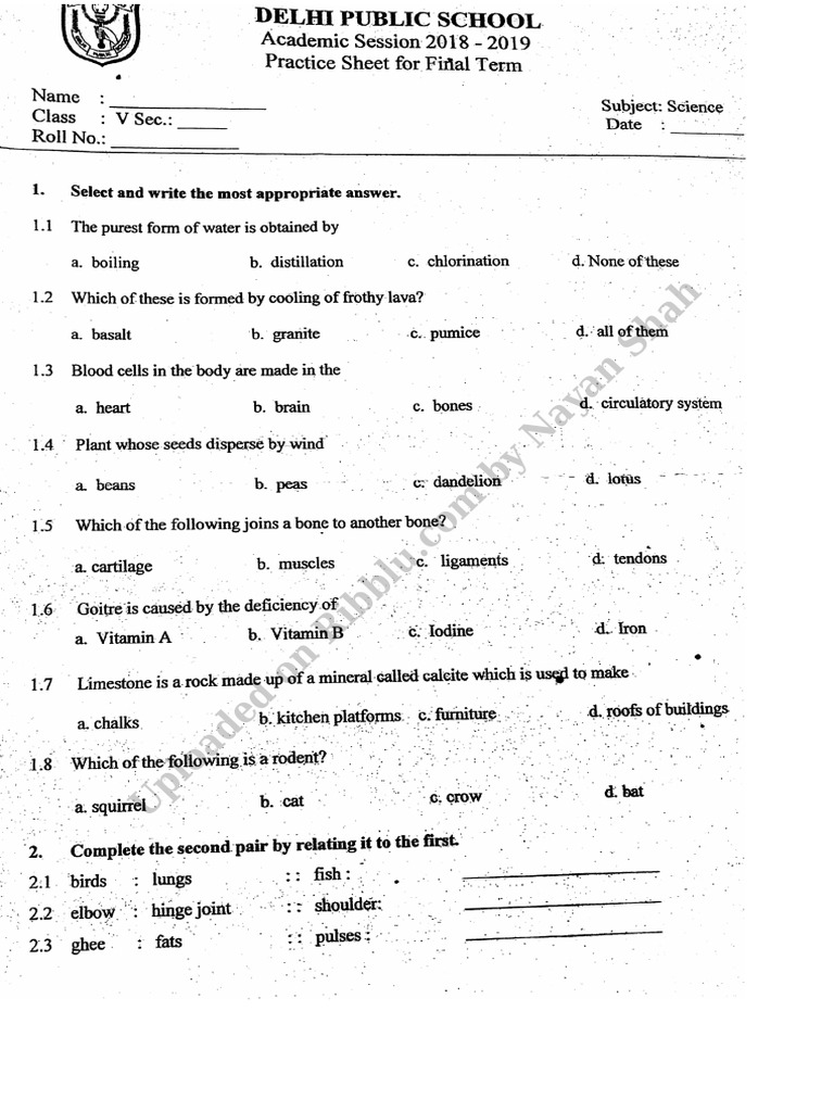 Class 5 Science Worksheets Assignments Practice Sheet Dps PDF | PDF