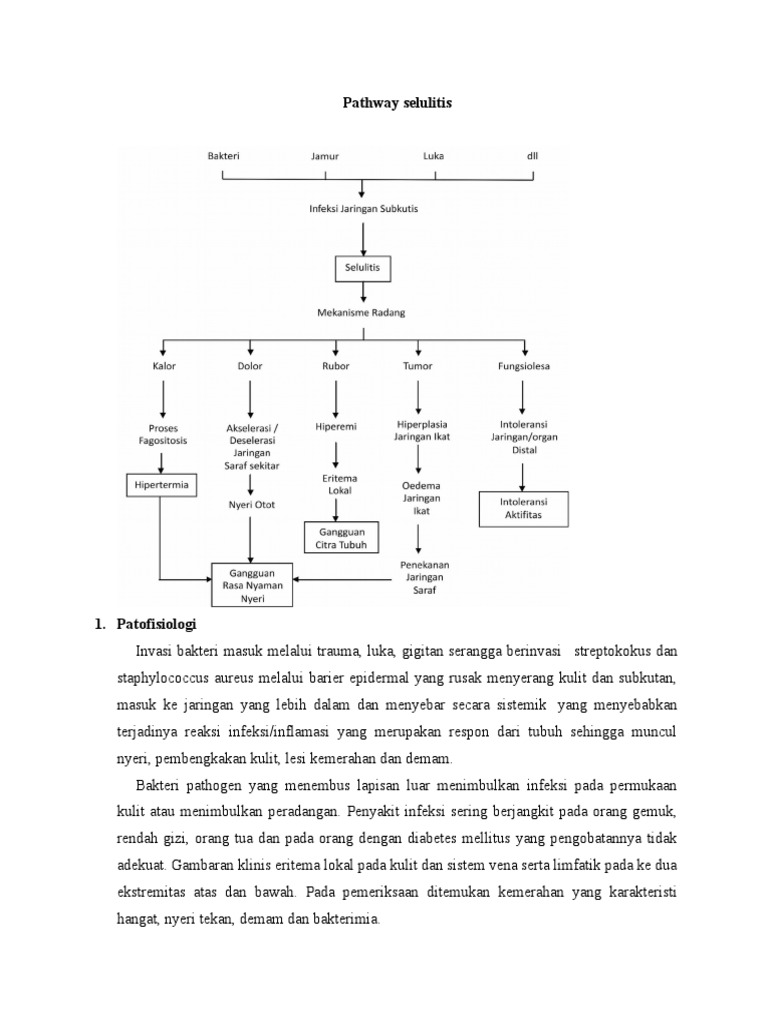 Pathway Selulitis | PDF