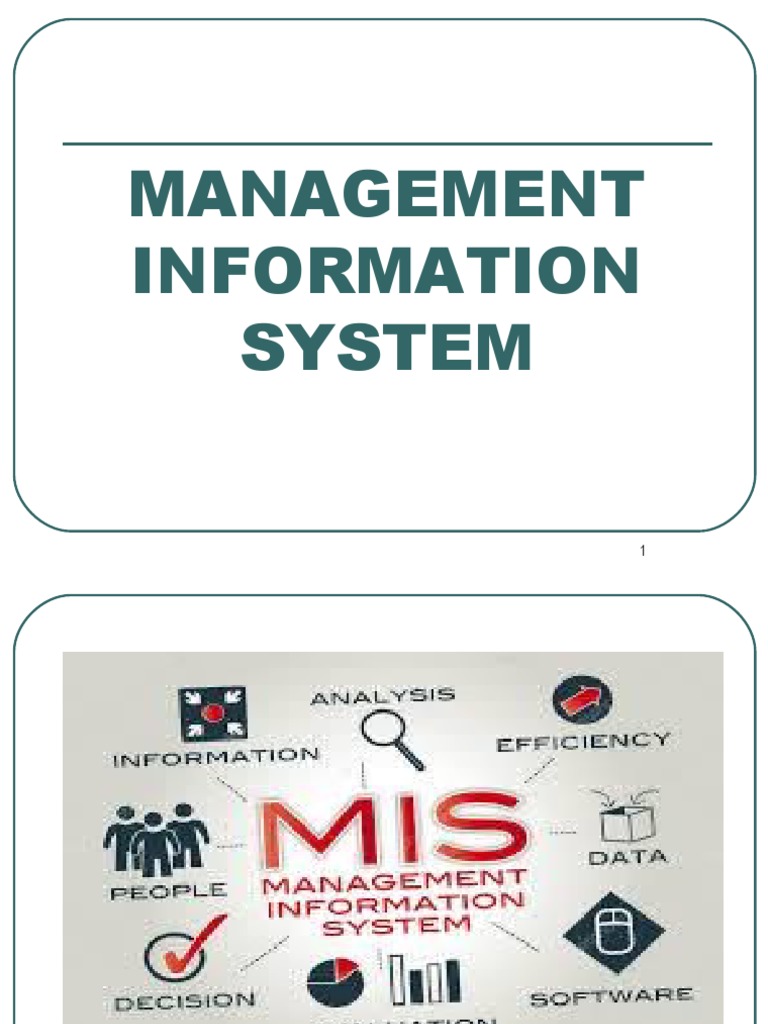 Management Information System | PDF | Management Information System ...