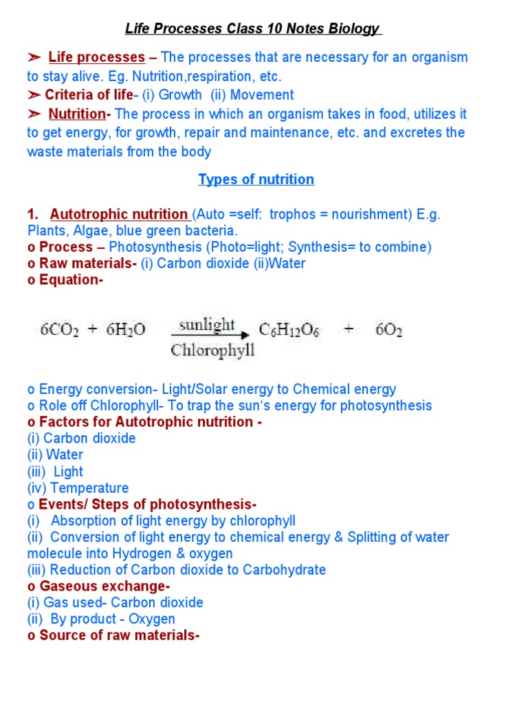 Life Processes Class 10 Notes Biology | PDF | Atrium (Heart) | Vein