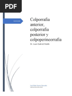 Colporrafia Anterior y Posterior Tecnica Quirurgica PDF | PDF | Cirugía ...
