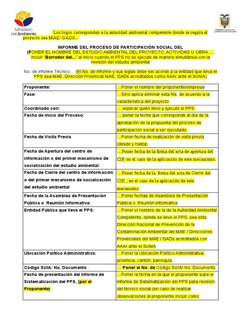 Plantilla de Informe Tecnico PPS Sin Facilitador | PDF | Evaluación | Gobierno