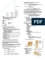 Aaos Rom Values | PDF | Anatomical Terms Of Motion | Limbs (Anatomy)