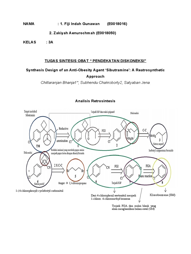 Tugas Sintesis Obat | PDF