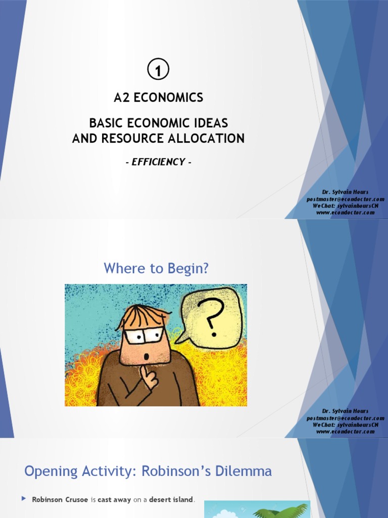 Efficient Resource Allocation for Robinson Crusoe | PDF | Economic ...