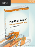 PRINCE2 Cheat Sheet | PDF | Project Management | Risk Management