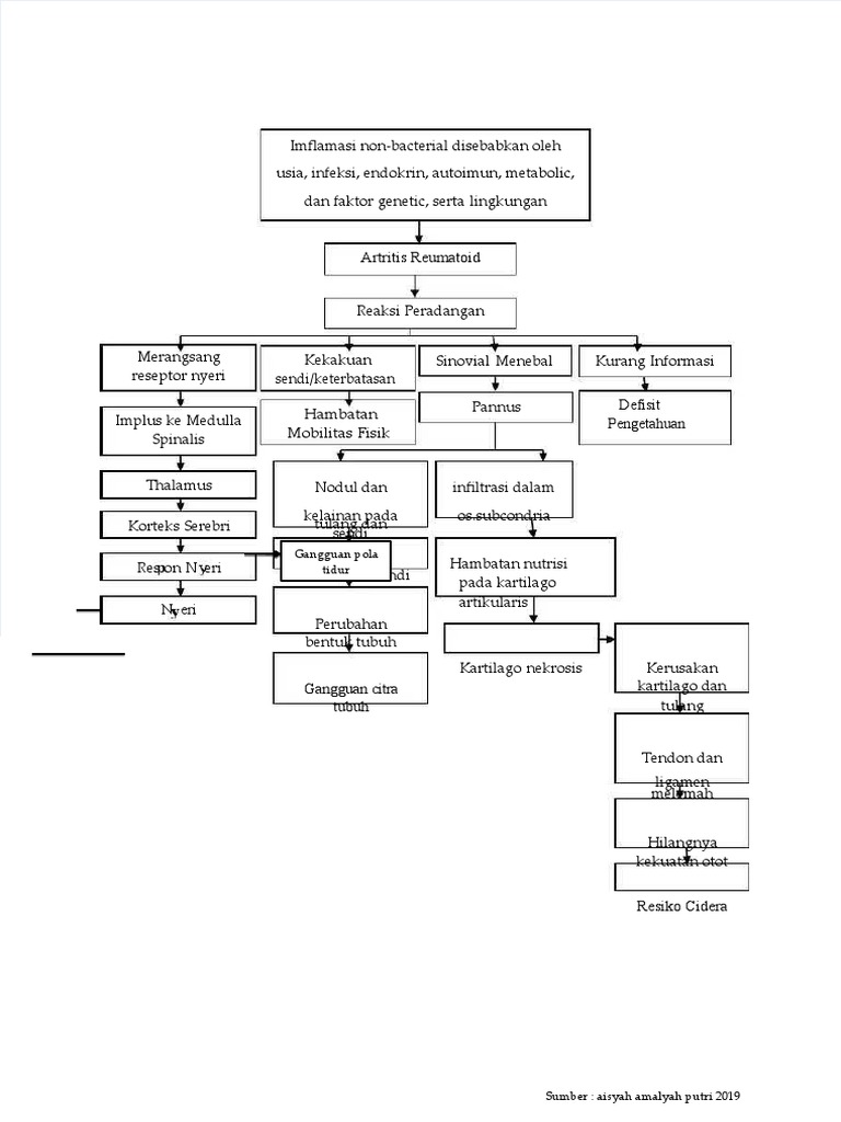 Pathway Reumatik | PDF