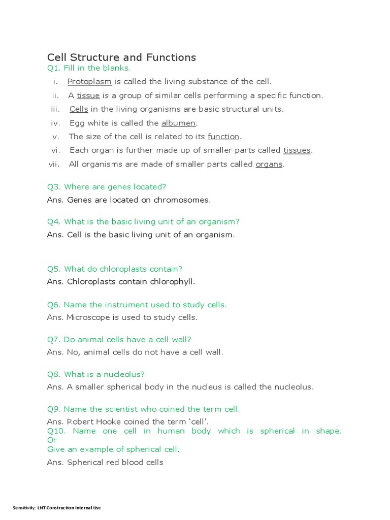 8.cell Structure and Functions | PDF | Cell Nucleus | Cell (Biology)