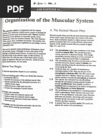 Oxford Strength Scale | PDF