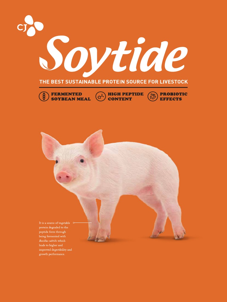 Soytide Brochure PDF | PDF