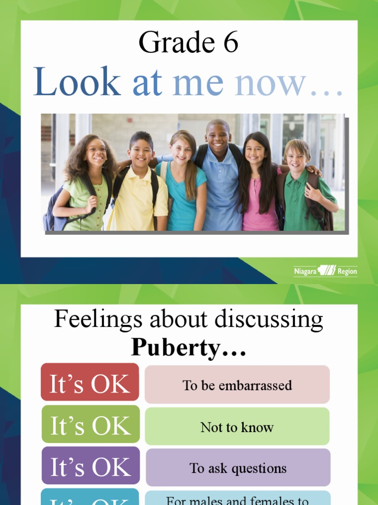 Gr6 Puberty Class One Presentation Pdf Puberty Reproductive System