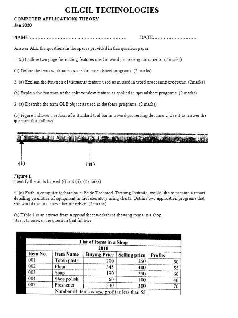 Computer Application Theory Paper Pdf Spreadsheet Databases