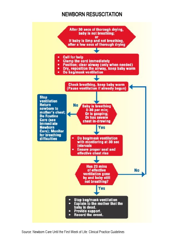 Newborn Rescucitation Flowchart | PDF