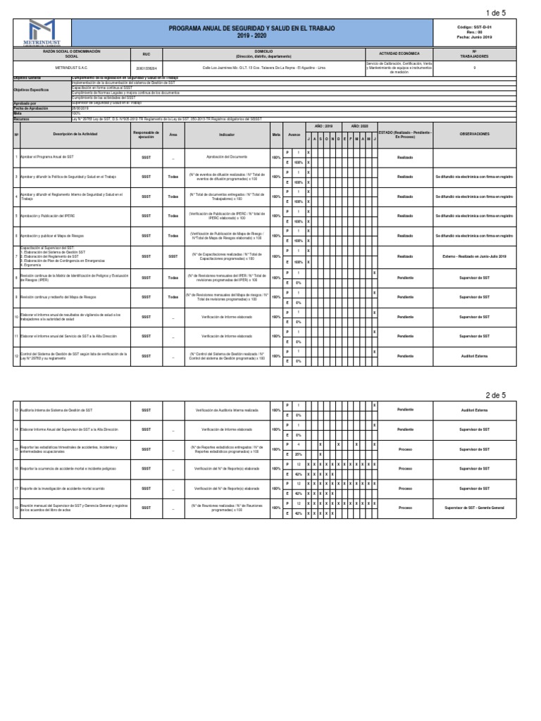 SST-D-01 Programa Anual de Seguridad 2019-2020 PDF | PDF | Seguridad y salud ocupacional | Bienestar