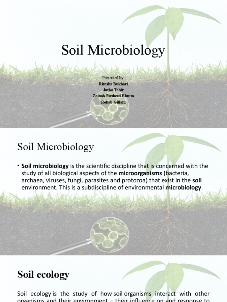 Soil Microbiology PTT | PDF | Soil | Ecology
