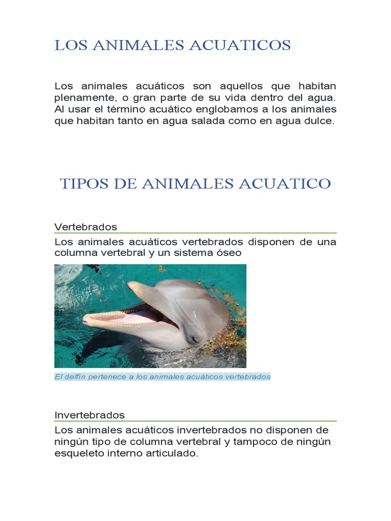 Tipos de Animales Acuáticos | PDF