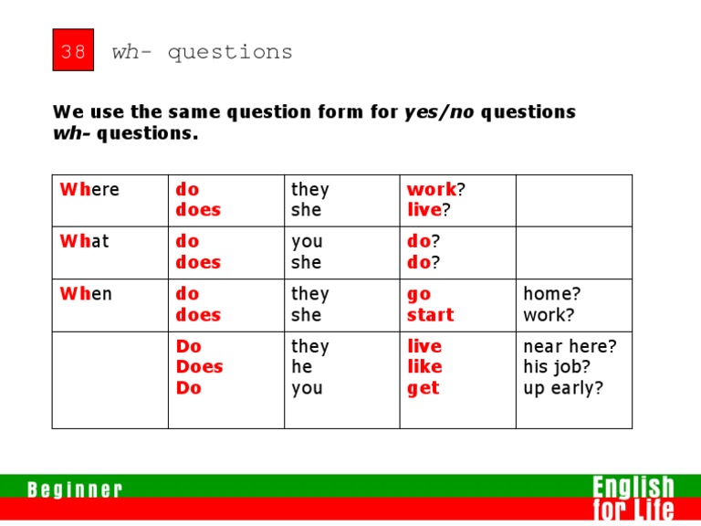 WH- Questions and Yes/No Forms | PDF